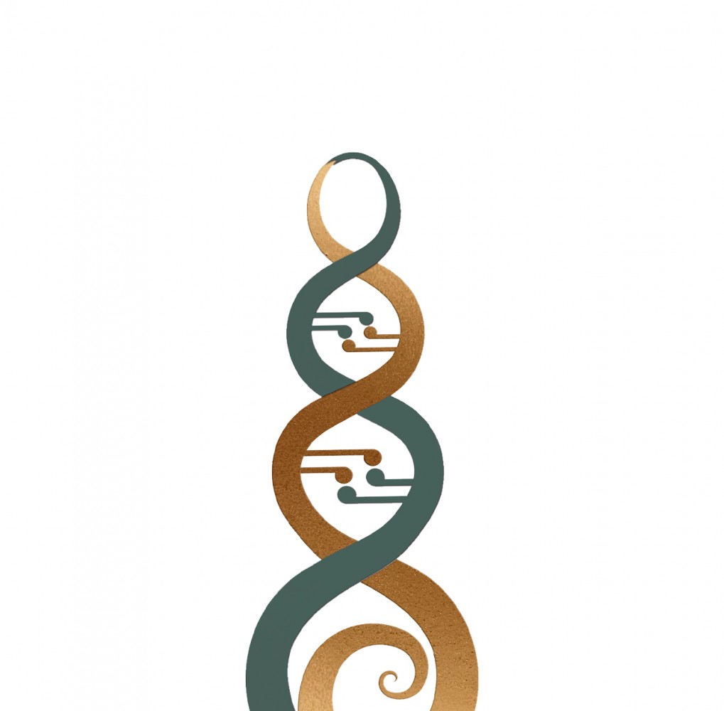 Te Tohu Rapuora Medal Health Research Council Of New Zealand